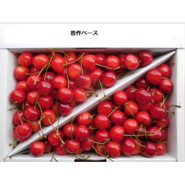 ★当方の商品紹介ページをご覧頂きまして誠に有難うございます。どうぞ宜しくお願いいたします。この度、日本一の生産量を誇る山形東根産さくらんぼ佐藤錦を少量ではございますが安価で幅広い方々にご賞味頂きたく思い出品致します。産地山形県東根市では昼夜...