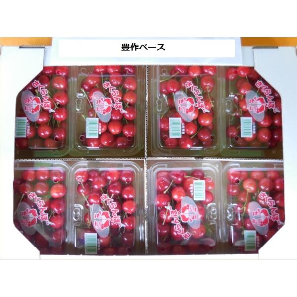 ★当方の商品紹介ページをご覧頂きまして誠に有難うございます。どうぞ宜しくお願いいたします。この度、日本一の生産量を誇る山形東根産さくらんぼ佐藤錦を少量ではございますが安価で幅広い方々にご賞味頂きたく思い出品致します。産地山形県東根市では昼夜...