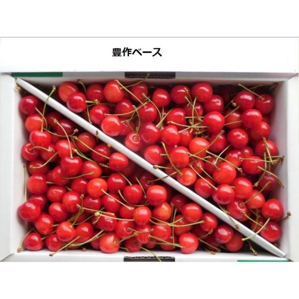 ★当方の商品紹介ページをご覧頂きまして誠に有難うございます。どうぞ宜しくお願いいたします。この度、日本一の生産量を誇る山形東根産さくらんぼ佐藤錦を少量ではございますが安価で幅広い方々にご賞味頂きたく思い出品致します。産地山形県東根市では昼夜...