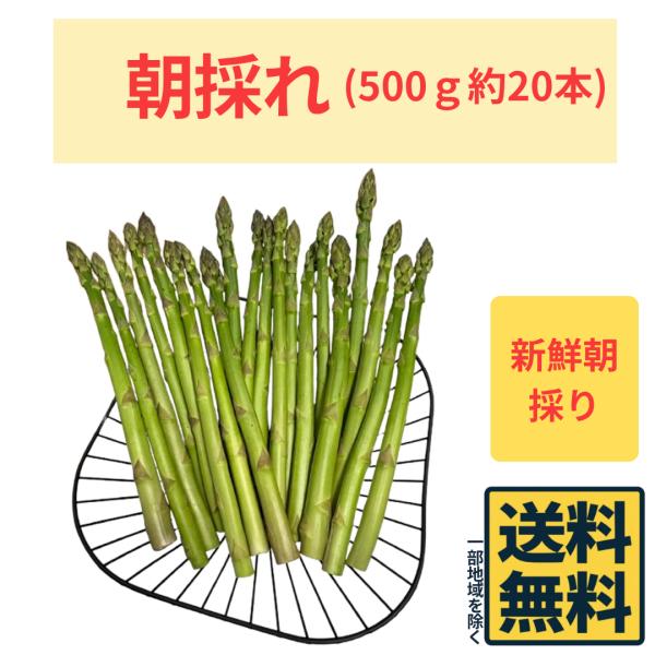 アスパラガス ウェルカム 岡山県産 500ｇ 約25cm 約20本 新鮮 朝取り岡山県岡山市南区の農家さんが育てられているアスパラガスです。 しっかりとした大きさで甘味が溢れています。 ぜひ、お試しください。※時期により宅急便、クール便に変...