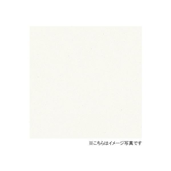 住宅設備 キッチンパネル アイカ アイカセラール fkm6200zgn
