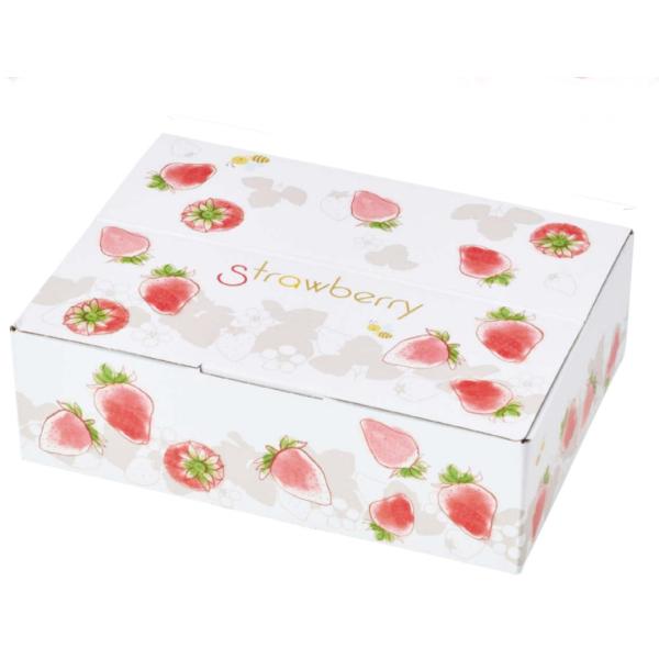 サイズ：内寸240×175×75(mm)材質：コート220g＋EF白5×白C5／B式底ワンタッチ重量：128g小箱・袋入数：10枚ケース入数：50枚（10×5）説明：いちご300gパック×2KEYWORDS苺箱 いちご箱 イチゴ箱 贈答用 ...