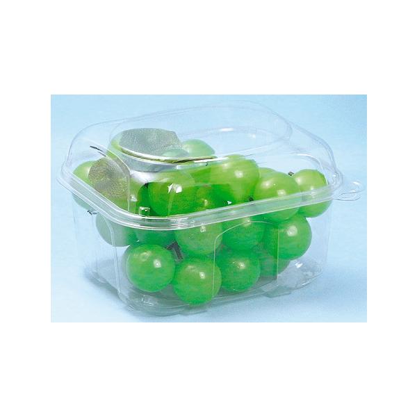 商品名：プチパック商品コード：200468本体サイズ（mm）：160(140)×145(120)×100本体＋フタ（mm）：70＋30P袋入数：50CS入数：400材質：A-PET本体重量（g）：28内容量の目安：ブドウ約500g備考：カン...