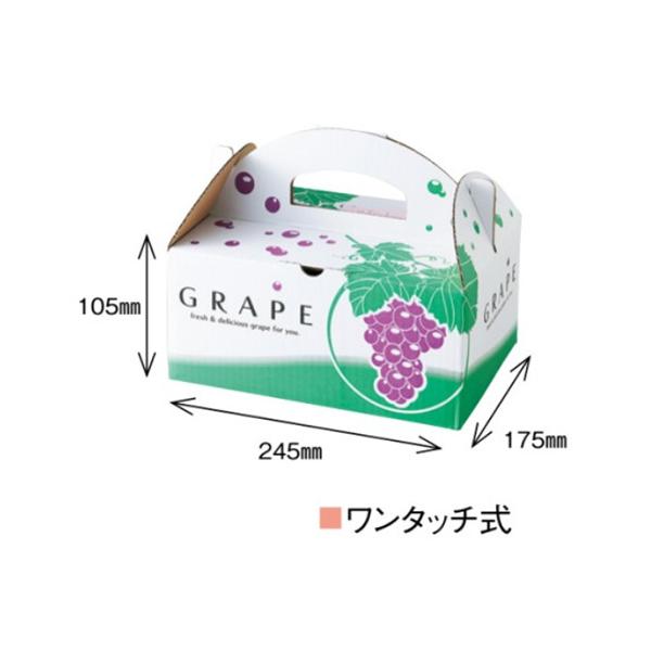 ※ご注意ください※個人宅配送不可の為、お届け先住所に農園名、店舗名、営業所名等屋号が必須となります。フルーツ他付属品はございません。箱のみの販売となります。規格：内寸：245mm×175mm×高さ105mm 外寸：265mm×195mm×高...