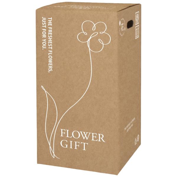 ※ご注意ください※個人宅配送不可の為、お届け先住所に農園名、店舗名、営業所名等屋号が必須となります。小ロット品は梱包数量により送料が変動致します都合上、変更の場合はご注文確認後お客様に確認後訂正させていただきます。ご了承下さい。規格：300...