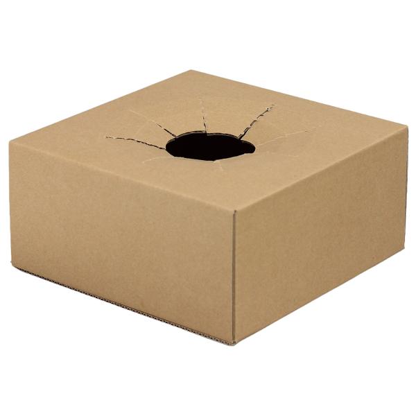 ※ご注意ください※個人宅配送不可の為、お届け先住所に農園名、店舗名、営業所名等屋号が必須となります。小ロット品は梱包数量により送料が変動致します都合上、変更の場合はご注文確認後お客様に確認後訂正させていただきます。ご了承下さい。規格：250...