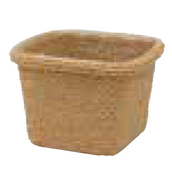 ※ご注意ください※個人宅配送不可の為、お届け先住所に農園名、店舗名、営業所名等屋号が必須となります。小ロット品は梱包数量により送料が変動致します都合上、変更の場合はご注文確認後お客様に確認後訂正させていただきます。ご了承下さい。規格：口部分...