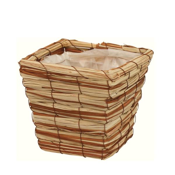 ※ご注意ください※個人宅配送不可の為、お届け先住所に農園名、店舗名、営業所名等屋号が必須となります。小ロット品は梱包数量により送料が変動致します都合上、変更の場合はご注文確認後お客様に確認後訂正させていただきます。ご了承下さい。規格：口部分...