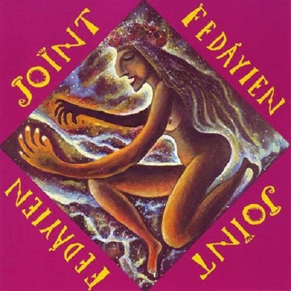 【発売日：2021年04月25日】media:CDlabel:地底レコードrelease:2021.04.251993年にナツメグから1,000枚のみ発売されていたフェダイン「ジョイント」の復刻版。川下直広のサックスをフィーチャーしたフリー...