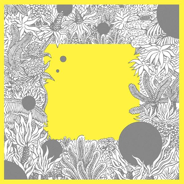 media: CDlabel: MIDI Creativerelease:2018.04.25Gongdoraは東京在住のソングライター / プロデューサー。バンドや弾き語り、インプロヴィゼーション、アンビエントなど多様な活動形態をとってき...