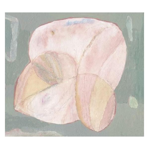 【発売日：2023年12月10日】media: CDlabel: HAPTIC PERCEPTIONrelease: 2023.12.102019年1stソロアルバム「壺」を発表したSSW堀嵜菜那のバンドセット、堀嵜菜那と山脈の1stアルバ...