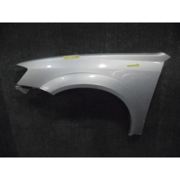 **** 商品説明を必ずご確認ください ****部品管理番号：000006095710700部品名：左Fフェンダー部品区分：リサイクル品管理品番：60957部品情報：プロテクター車名：レガシィ車両タイプ名：ステーションワゴン通称型式：BPE...