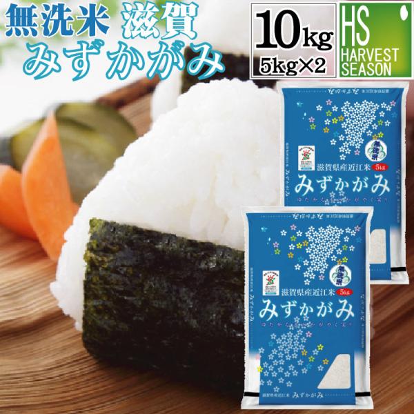 無洗米 5kg×2袋 みずかがみ 滋賀県産 10kg　KIN　SHI　MI★期間限定ポイント2倍★（1/6　12:00〜1/15　11:59迄）※北海道、沖縄、離島など一部地域への発送に関しては、送料として送料無料の商品をご注文いただきまし...