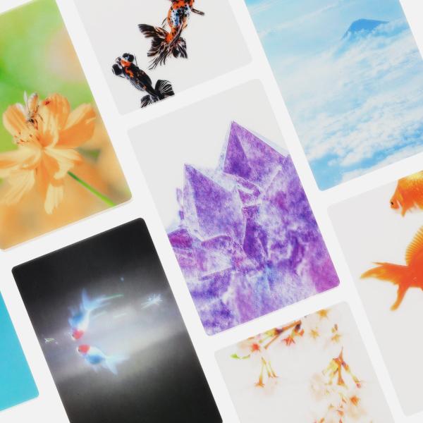 フォトグラファーが撮影した写真を透明のPET素材に印刷した栞(しおり) 。A6判よりも少し小さい、文庫本用にちょうどいいサイズ。金魚から花々などの身近な被写体から風景まで幅広く揃う、本好きには言わずと知れた人気シリーズ。本に挟むと下地が透け...