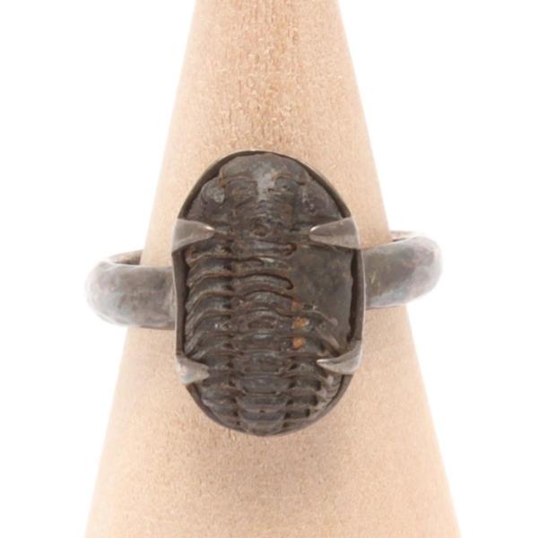 出品日:20250714 性別:メンズ ジャンル1:貴金属・ジュエリー ジャンル2:リング・指輪 シーズン:ALL（オールシーズン） カラー:シルバー系 状態ランク:C ブランド: STARBORN