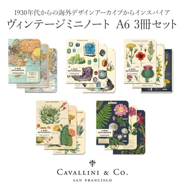 Cavallini（カバリーニ）のアーカイブより選ばれたデザインを表紙にしたA6サイズのミニノート。＊横罫・無地・方眼の３冊セット＊サイズ：10cm x 14cm＊ページ数：96ページ【カバリーニ（Cavallini）社について】アメリカサ...