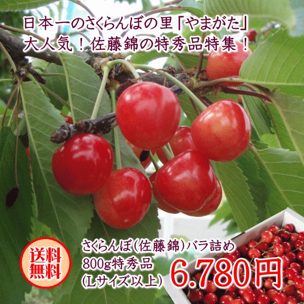 【さくらんぼは全地域「クール便（冷蔵）」でお送り致します（別途クール便代金のご負担はありません）】佐藤錦は甘みが強く酸味との調和がよい山形を代表する人気品種です。ご案内の商品はLサイズ以上の特秀品で、生産農家自ら1粒1粒厳選したこだわりの逸...