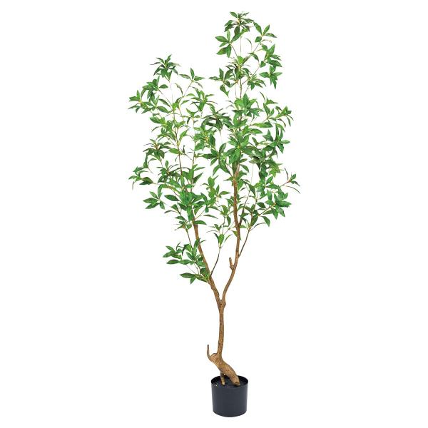 ■材質：PEVA■鉢材質：プラスチック■重量：約5kg■サイズ：W650×H1800■鉢サイズ：φ180×H150■補足：完成品／光触媒【注意事項】※床に直接置くと、傷がつく恐れがあります。※用途によってポットカバー等に入れてご使用下さい。...