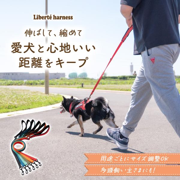 ・【1本で110〜180cmまで自由に調節】使うシーンや愛犬の性格に合わせてリードの長さを簡単に調節できます。・【多頭飼いや用途別にも便利】サイズ調節機能により1頭ずつでも多頭でも使いやすく、犬種、環境による使い分けも可能です。・【国内検査...