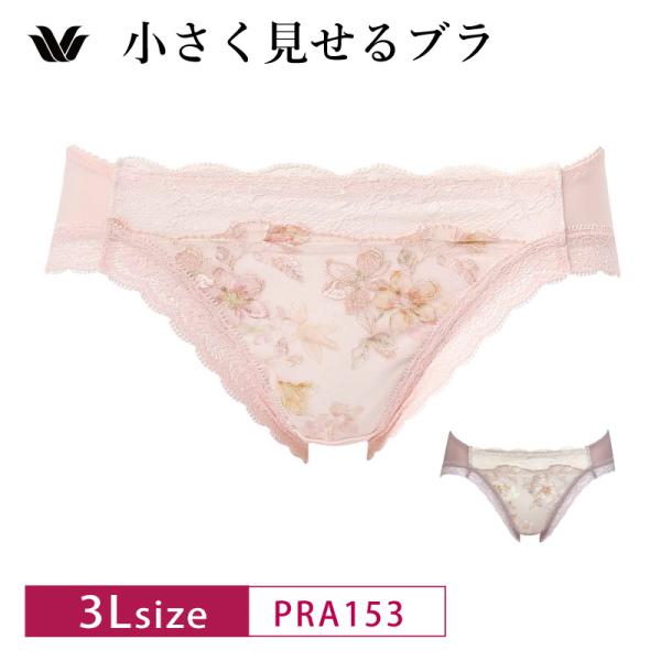 ※商品の厚みが合計3cm以上になった場合、自動的に宅配便(送料490円)で発送致します。ご了承ください。【特徴】小さく見せるブラ「レーシィ」ペアショーツ●はきごこちがよいバックはやわらかく伸びるナイロンベア天竺素材で、はきごこちがよいはきこ...