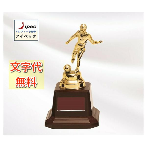 ●Aサイズ●高さ：16.5ｃｍ●重さ：約220ｇ●材料：ダイキャスト製ブロンズ　台座は樹脂製トロフィー　優勝カップ　メダル　表彰楯【文字代無料】　優勝トロフィー　優勝メダル　　サッカー　