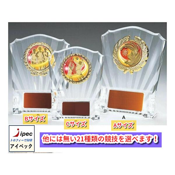 【発売日：2021年01月30日】●サイズ　Cサイズ　●高さ140mm　●材質　樹脂製表彰楯　卒団式　卒業　記念　イベント トロフィー　カップ　文字無料　野球　サッカー　音楽　バスケットボール　バレーボール　剣道　柔道　卓球　テニス　水泳　...