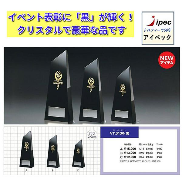 高さ215mm ※祝日土日にご注文の場合は休み明けの対応になりますトロフィー　優勝カップ　　表彰楯【文字代無料】【送料無料】　優勝トロフィー　イベント　音楽　バスケットボール　サッカー　バドミントン　バレーボール　ゴルフ　剣道　柔道  記念...