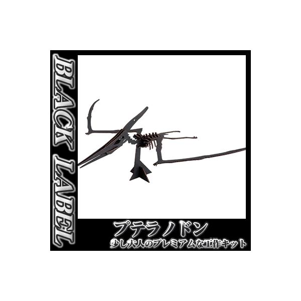 少し大人のプレミアムな工作キット！【関連ワード】hacomo ダンボール ペーパークラフト 工作 恐竜 ブラックレーベル