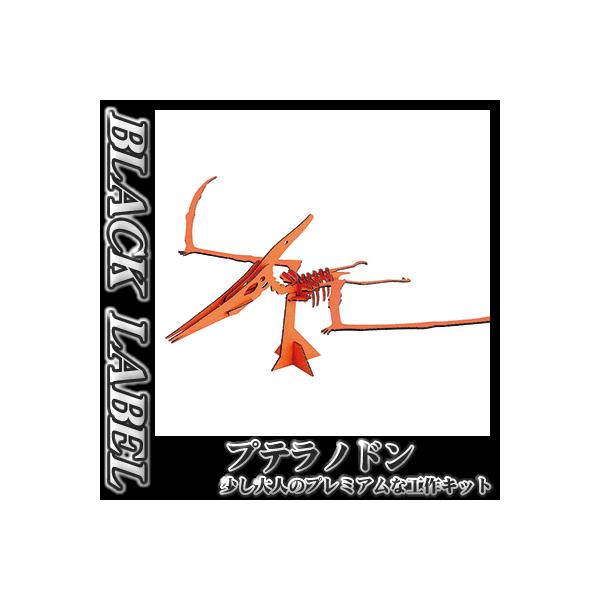 少し大人のプレミアムな工作キット！【関連ワード】hacomo ダンボール ペーパークラフト 工作 恐竜 ブラックレーベル