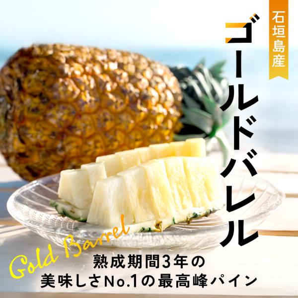 【収穫時期と発送日のお知らせ】6月上旬に収穫が始まります。ご予約をいただいた順に発送をいたしますが、天候や収穫状況により前後してしまうことを予めご了承くださいませ。【ゴールドバレルとは？】その名の通り、果肉は黄金色に輝き、樽のような形をして...
