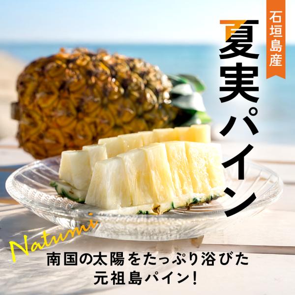 【収穫時期と発送日のお知らせ】7月上旬に収穫が始まります。ご予約をいただいた順に発送をいたしますが、天候や収穫状況により前後してしまうことを予めご了承くださいませ。【ハワイ種とは？】その名の通り、もともとはハワイで育成された品種で別名『夏実...