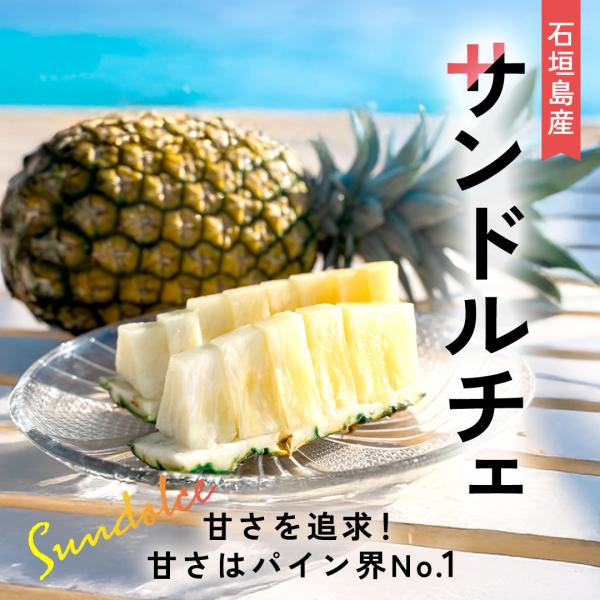 【収穫時期と発送日のお知らせ】2026年6月下旬に収穫が始まります。ご予約をいただいた順に発送をいたしますが、天候や収穫状況により前後してしまうことを予めご了承くださいませ。【サンドルチェとは？】太陽（SUN）とイタリア語で甘い（Dolce...