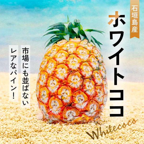 【収穫時期と発送日のお知らせ】５月下旬に収穫が始まります。ご予約をいただいた順に発送をいたしますが、天候や収穫状況により前後してしまうことを予めご了承くださいませ。【ホワイトココとは？】その名の通り、果肉は白くココナッツの香りのするパイン。...