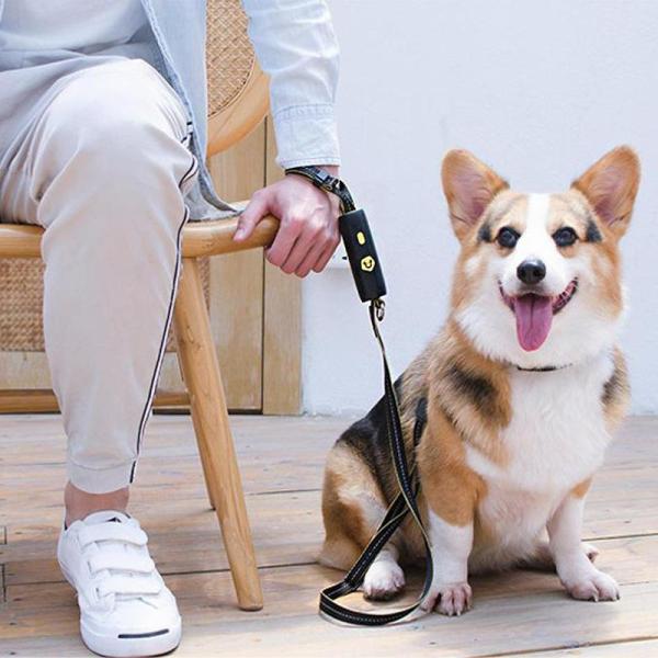 伸縮リード＆握りやすいハンドル。手袋や雨の日でも滑りにくい。伸びないから犬を制止しやすいです。ワンタッチ！どこでもロックができます。サイズ約：長さ14.7×幅19.3×高さ4.5 cm※カラーのご指定はできません。キーワード：犬 リード 小...