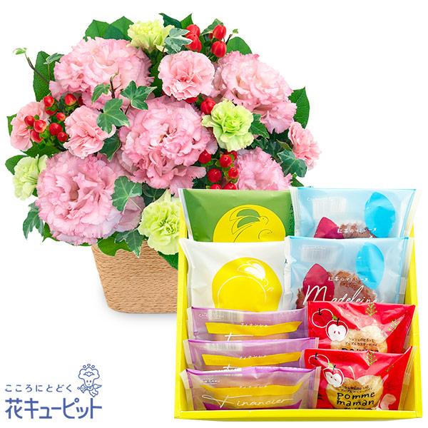 ピンクのトルコキキョウでボリュームたっぷりに仕上げたフラワーギフトと、可愛らしい焼き菓子を詰め合わせた洋菓子アソートのセットです。クリームを蒸しカステラで包んだふんわりと柔らかいお菓子「月でひろった卵」、甘酸っぱいりんごのコンポートをパイで...