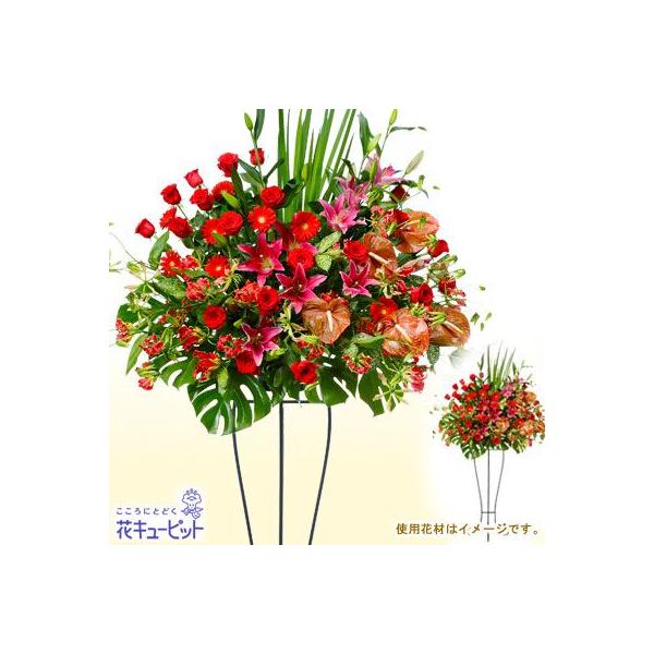 赤でまとめたスタンド花は目にも鮮やか、周りを一気に華やいだ雰囲気にしてくれます。※スタンドは変更になる場合があります。※花器（スタンドなど）はレンタルです。511177シックで大人な雰囲気のスタンド花　祝花は特別なお祝いの席へお届けする花。...