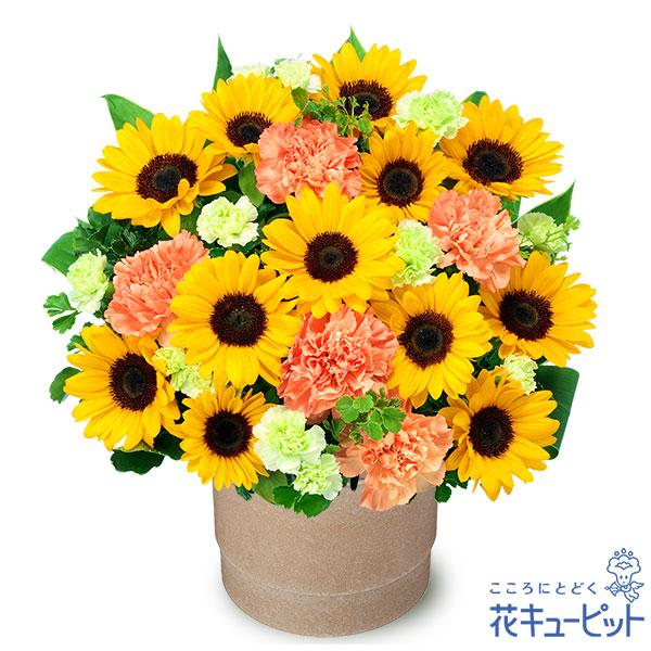 ひまわりとオレンジの花々をあわせた、笑顔と元気をお届けするビタミンカラーのアレンジメント。512588笑顔と元気を届けるビタミンカラーのギフト　いつも頑張っているお父さんにフラワーギフトを。　　【こんなご用途に】父の日・母の日・お祝い・感謝...