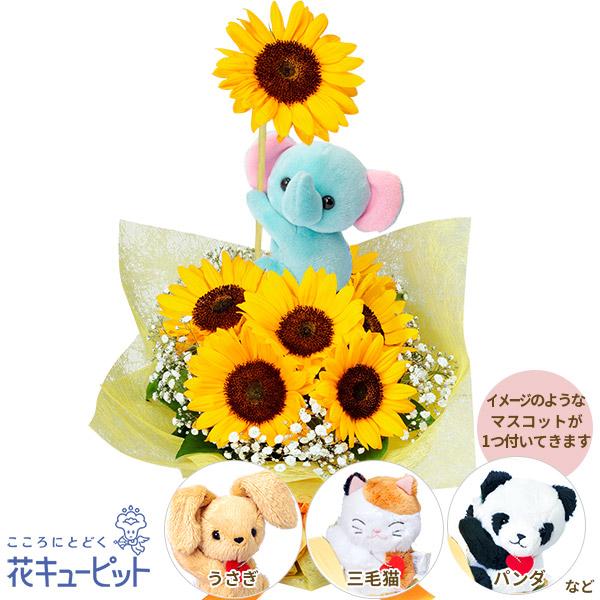 夏にぴったりなひまわりを、動物のマスコットと合わせた花束です。明るいひまわりと可愛らしいマスコットは相性抜群。男性・女性や年齢を問わずにお贈りいただけるプレゼント・ギフトです。マスコットは、パンダ・三毛猫・うさぎなどの豊富なラインナップから...