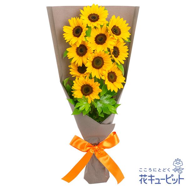 年齢・性別を問わず好まれるひまわりのシンプルな花束です。ひまわりの太陽のような親しみやすい花姿は、見ているだけで明るい気持ちになるはず。プレゼントする相手の方に元気をお届けいたします。525305見ているだけで明るい気持ちになるひまわり　い...