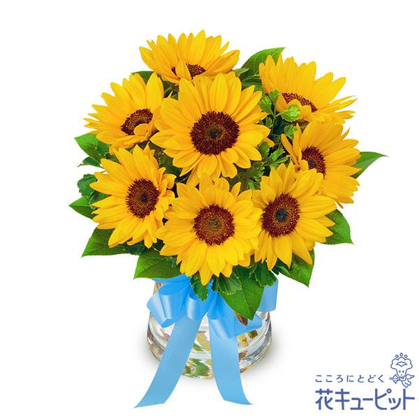 ひまわりをたっぷりと使って、グリーンと一緒にまとめました。夏の暑さを和らげるような、爽やかなグラスブーケです。花瓶付きなので、お届け後はそのまま飾ることができます。524016夏の暑さを和らげるような花瓶付きブーケ　お世話になったあの方へ心...
