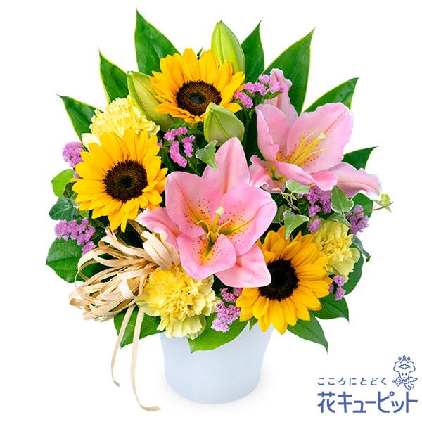 ピンクのユリとひまわりで華々しくまとめながら、夏らしい爽やかな印象に仕上げたアレンジメント。フォーマルな場面でも映えるボリュームです。ユリとひまわりは男性からの人気も高いため、性別を問わずにお贈りいただけるフラワーギフトです。524399夏...