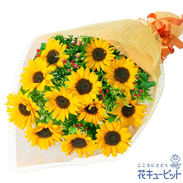 シンプルなひまわりの花束は、爽やかでボリューム満点。夏にぴったりのプレゼントです。525037シンプルなひまわりの花束は夏におすすめ　お世話になったあの方へ心をこめて。さわやかな気分をお届けするサマーギフトをご用意しました。お中元にも最適で...
