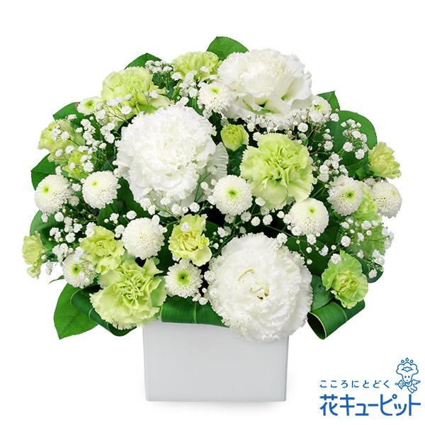 トルコキキョウなどの白とグリーンの花を中心に、ボリュームを出したお供えのアレンジメントです。たくさんの花々が、故人への想いを伝えてくれます。白上がりのアレンジメントは、四十九日を迎えるよりも前に贈る花として適しています。ob512702白い...