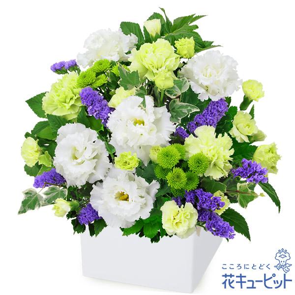 清楚な白を基調とした花々を使い、シンプルなメモリアルフラワーに仕上げました。故人への想いをお花とともにお届けします。お悔やみや枕花にもご利用いただけます。ob524127故人への想いをお花とともにお届けします　お盆のお供えとして最適なお花を...