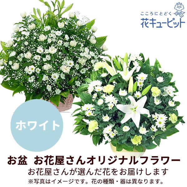 お届け先近くのお花屋さんが心を込めて作る、オリジナルデザインのお供え花です。花の種類はお花屋さんにおまかせください。地域のしきたりに合わせて最適な花をお届けいたします。ogmkap010wh地域のしきたりに合わせた花をお届け　お盆のお供えと...