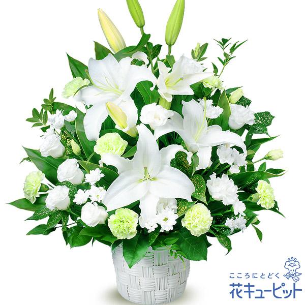 白ユリの凛としたアレンジメント。哀惜の気持ちを表現しました。ogob511877哀悼の花として最適なアレンジメント　お盆のお供えとして最適なお花をご用意しました。この時期に故郷に帰れない方でも安心して贈っていただけます　　【こんなご用途に】...
