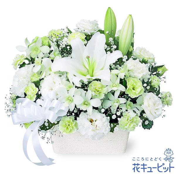 凛とした白いユリに、ふんわりと優しい雰囲気の花々をあわせました。白上がりのお花は、お通夜やご葬儀にも最適です。真っ白なリボンが、故人への想いを繋ぎます。ogob511979真っ白なリボンが故人への想いを繋ぎます　お盆のお供えとして最適なお花...
