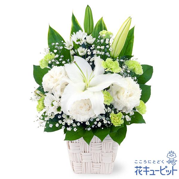 凛としたユリを中心にまとめたお供えのアレンジメントです。優しく落ち着いた雰囲気の中に哀悼の意を込めました。通夜や葬儀にも最適な白上がりのアレンジメントは、四十九日を迎えるよりも前に贈る花として適しています。ogob512680四十九日よりも...