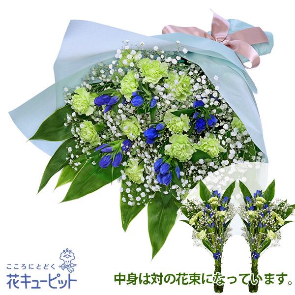 紫のリンドウを中心に、落ち着いた印象に仕上げたお供えの花束です。左右対称なデザインの花束を2つ合わせているため、お墓や仏壇にお供えしやすい仕様となっています。2つの花束を1つにまとめてラッピングし、お届けいたします。ogob512768お墓...
