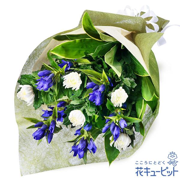 哀悼の意を込めた、やわらかくシンプルな花束です。ogob525233故人を偲ぶシンプルな花束　お盆のお供えとして最適なお花をご用意しました。この時期に故郷に帰れない方でも安心して贈っていただけます　　【こんなご用途に】お盆、新盆、初盆、供花...